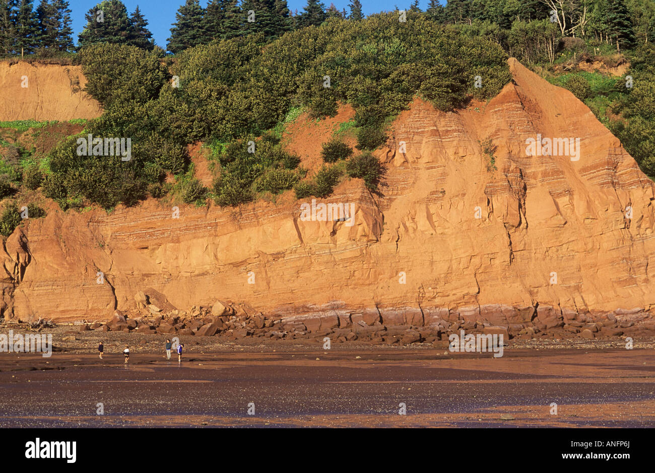 Five Islands Provincial Park, Nova Scotia, Canada Stock Photo - Alamy