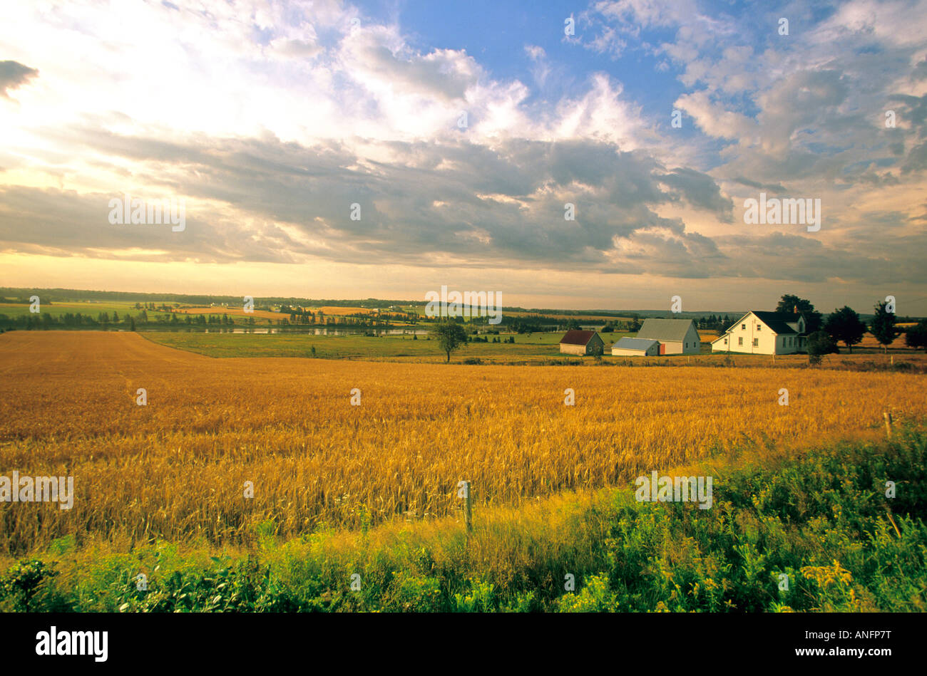Valley of the river clyde hi-res stock photography and images - Alamy