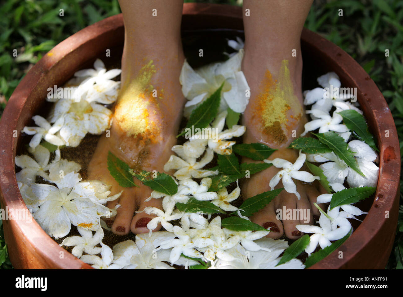 Lka Sri Lanka Siddhalepa Ayurveda Resort Foot Massage Oiling