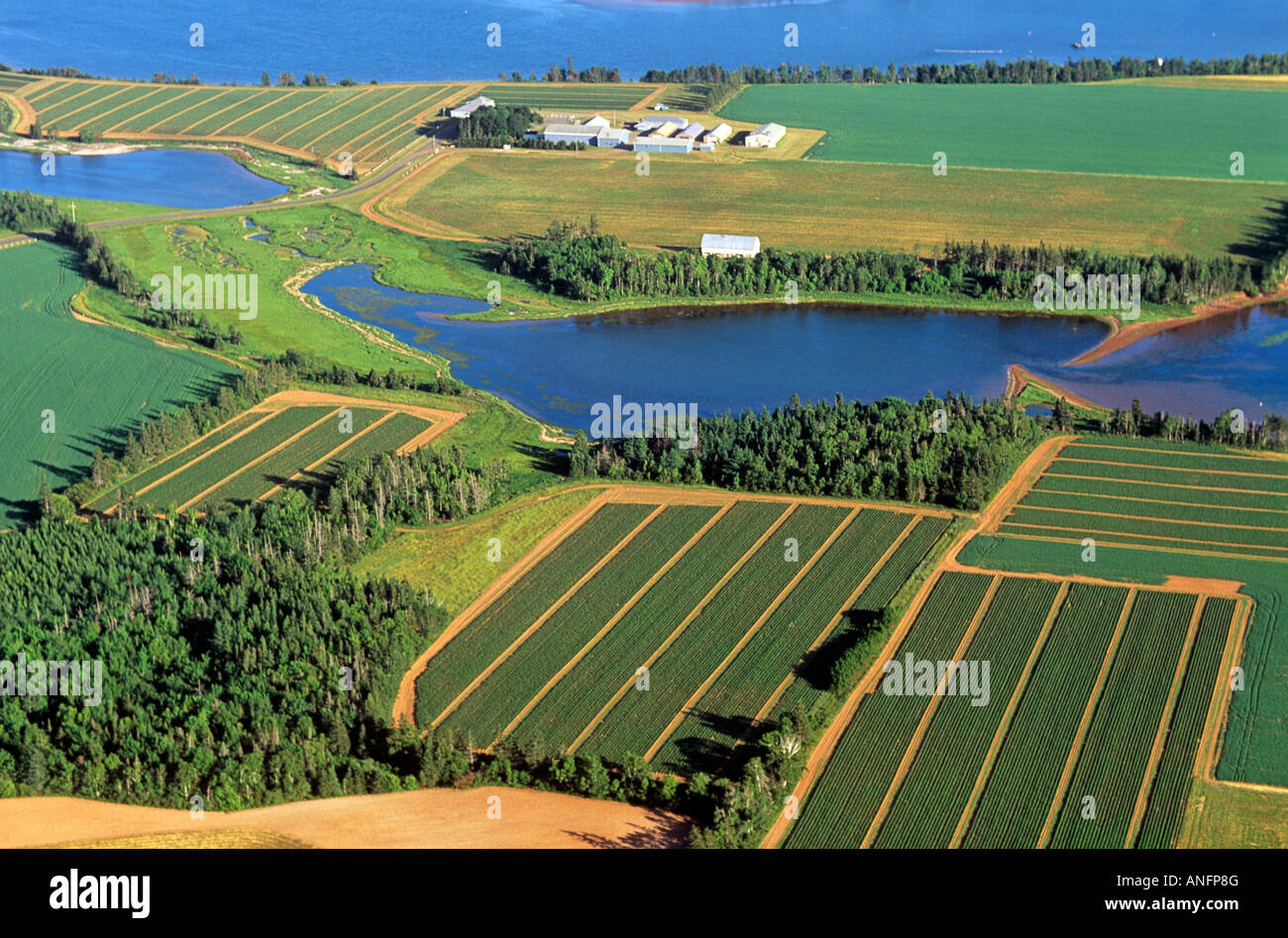 Aerial of Potato Farm, Fox Island, Prince Edward Island, Canada Stock ...