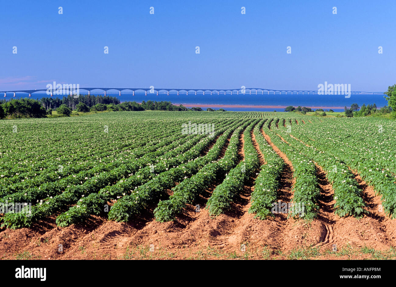 Farmers Bridge High Resolution Stock Photography and Images - Alamy