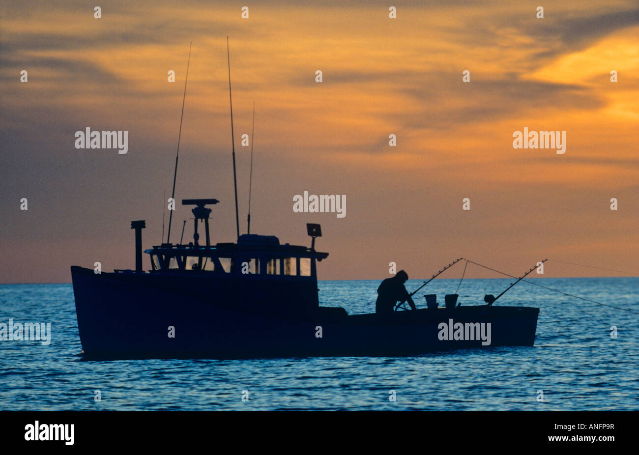 Fisherman checking lines, tuna fishing, North Lake, Prince Edward ...