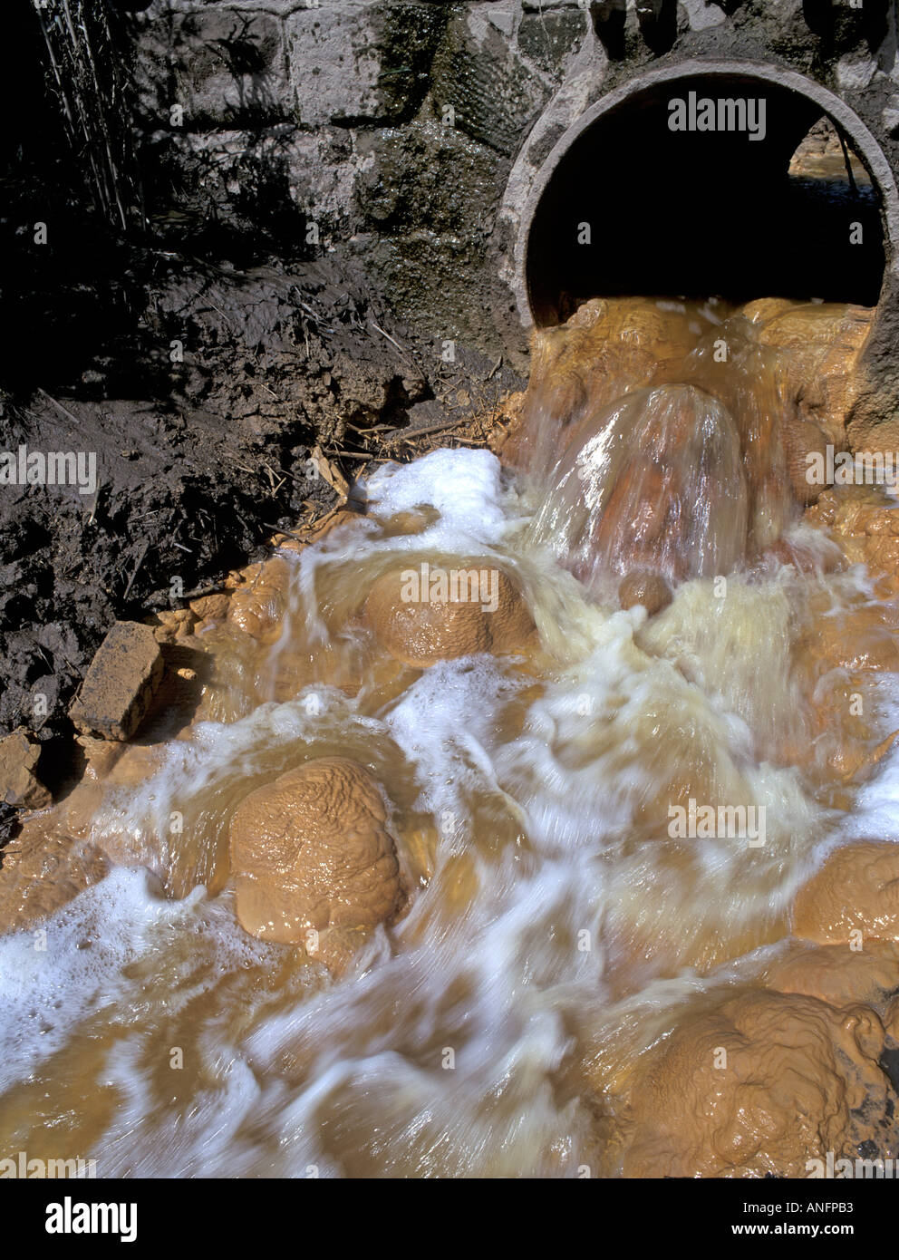 Chemical Pollution pouring from industrial outflow at pollute River ...