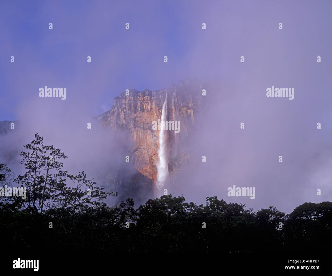 Angel Falls in Mist Highest Waterfall in the World into Tropical ...