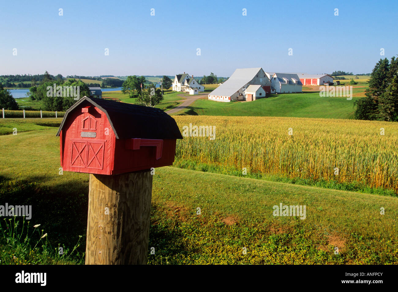 Mailbox and farm, Rusticoville, Prince Edward Island, Canada Stock ...
