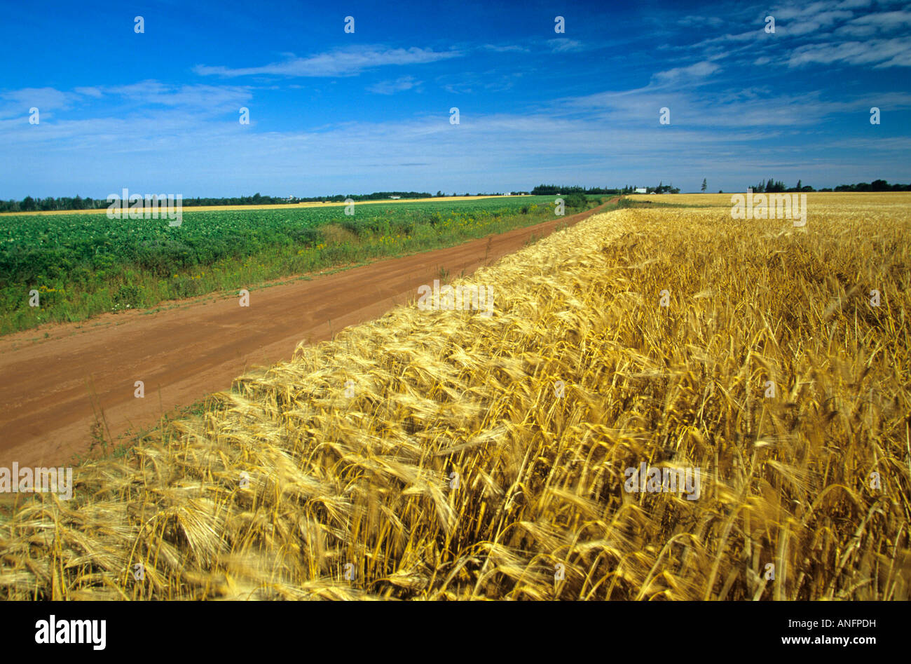 Montgomery Road, Bedeque, Prince Edward Island, Canada Stock Photo - Alamy