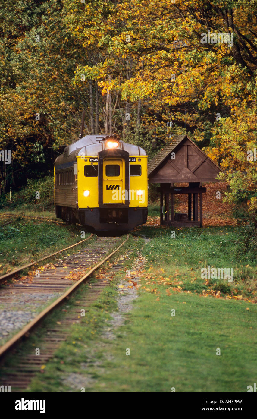 Train pick up point with the Dayliner daily commuter near Government ...