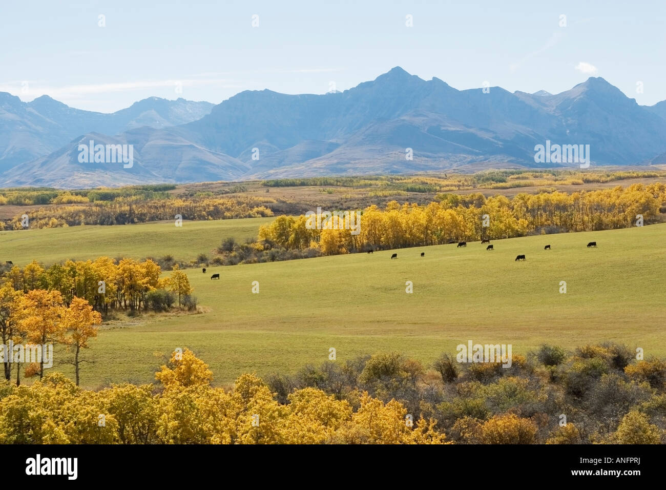 Pincher Creek with the foothills and Rocky Mountains in background ...
