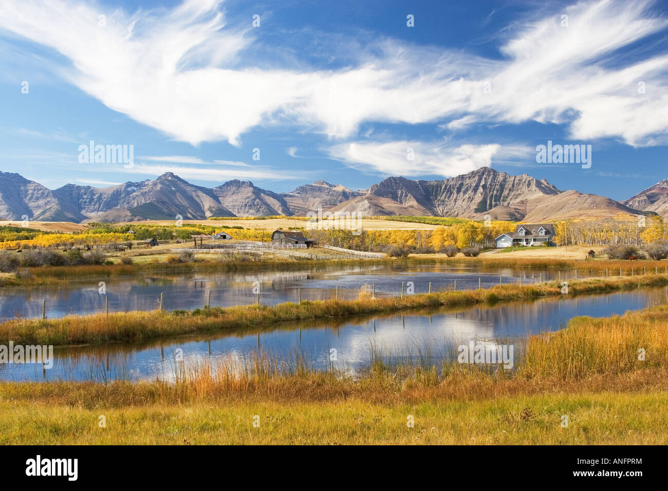 farm, trees, Rocky Mountains, near Pincher Creek, Alberta, Canada Stock ...