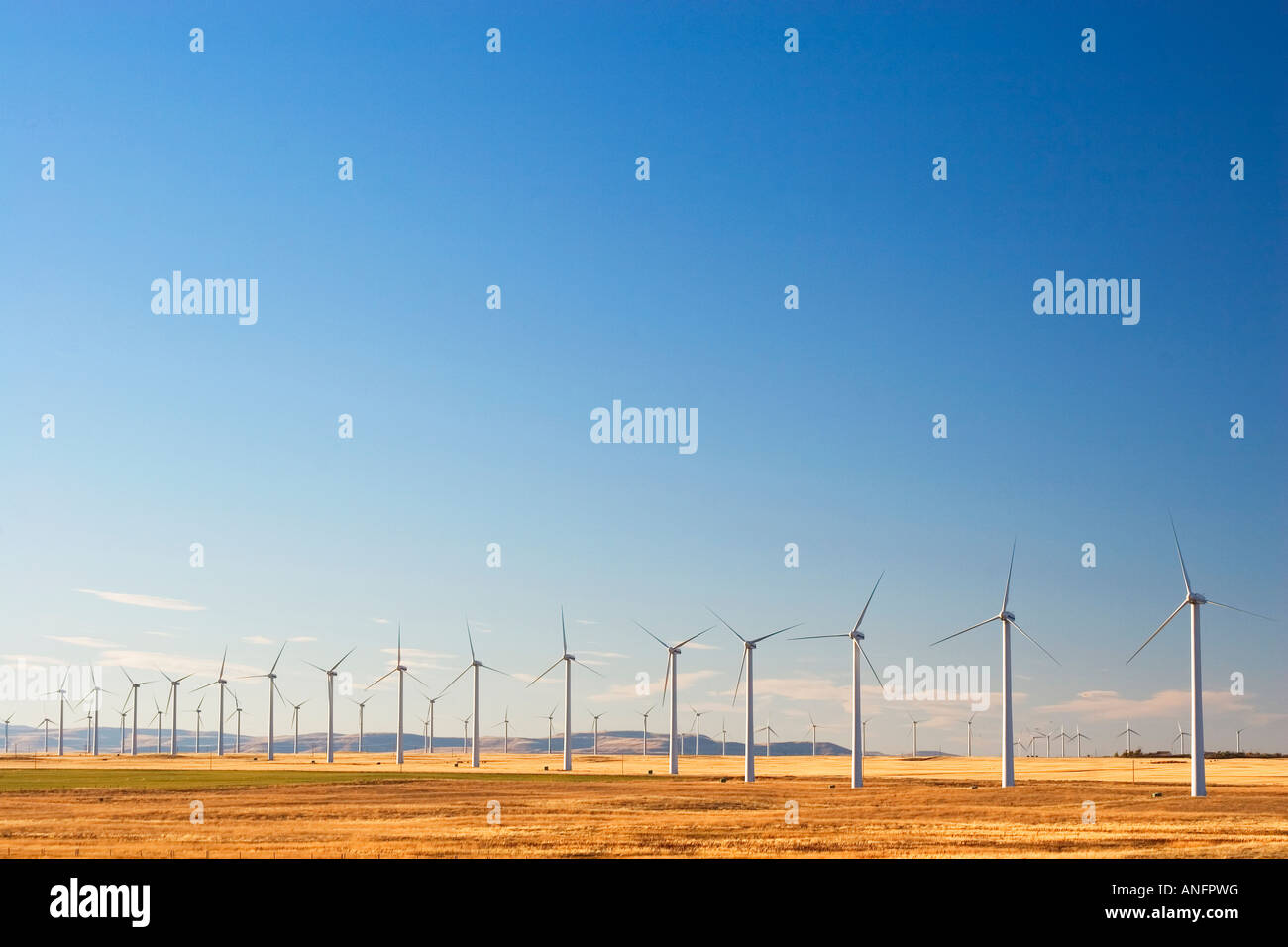 windmills, wind turbines near Pincher Creek, Alberta, Canada Stock ...