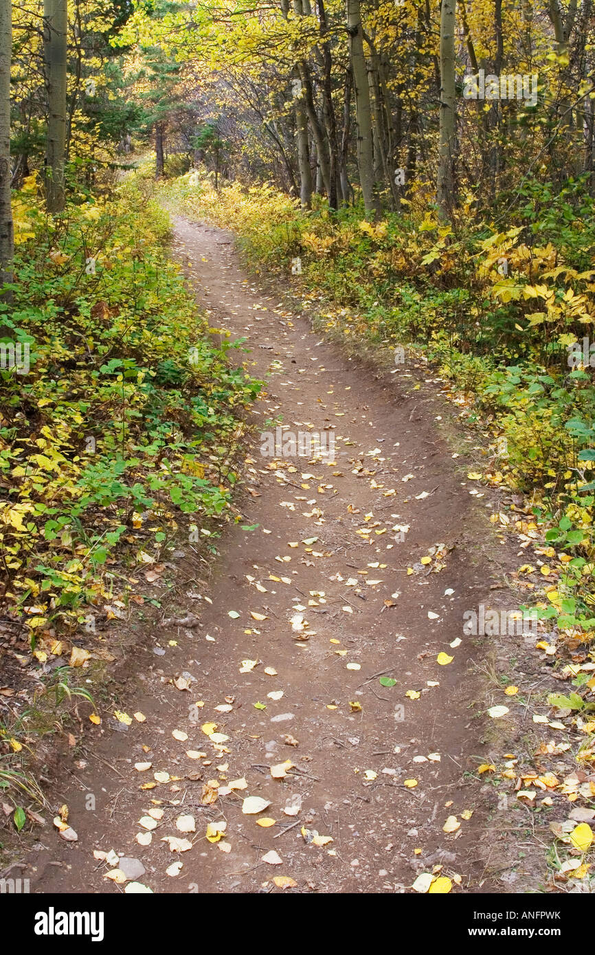 hiking trail, Waterton Lakes National Park, Alberta, Canada Stock Photo ...