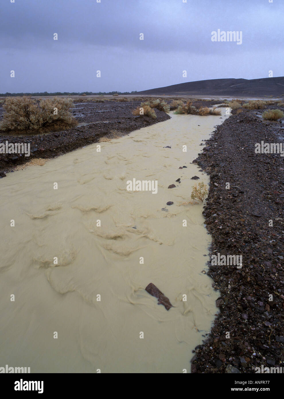 Desert Flash Flood after Storm, effect of El Nino, Death Valley ...