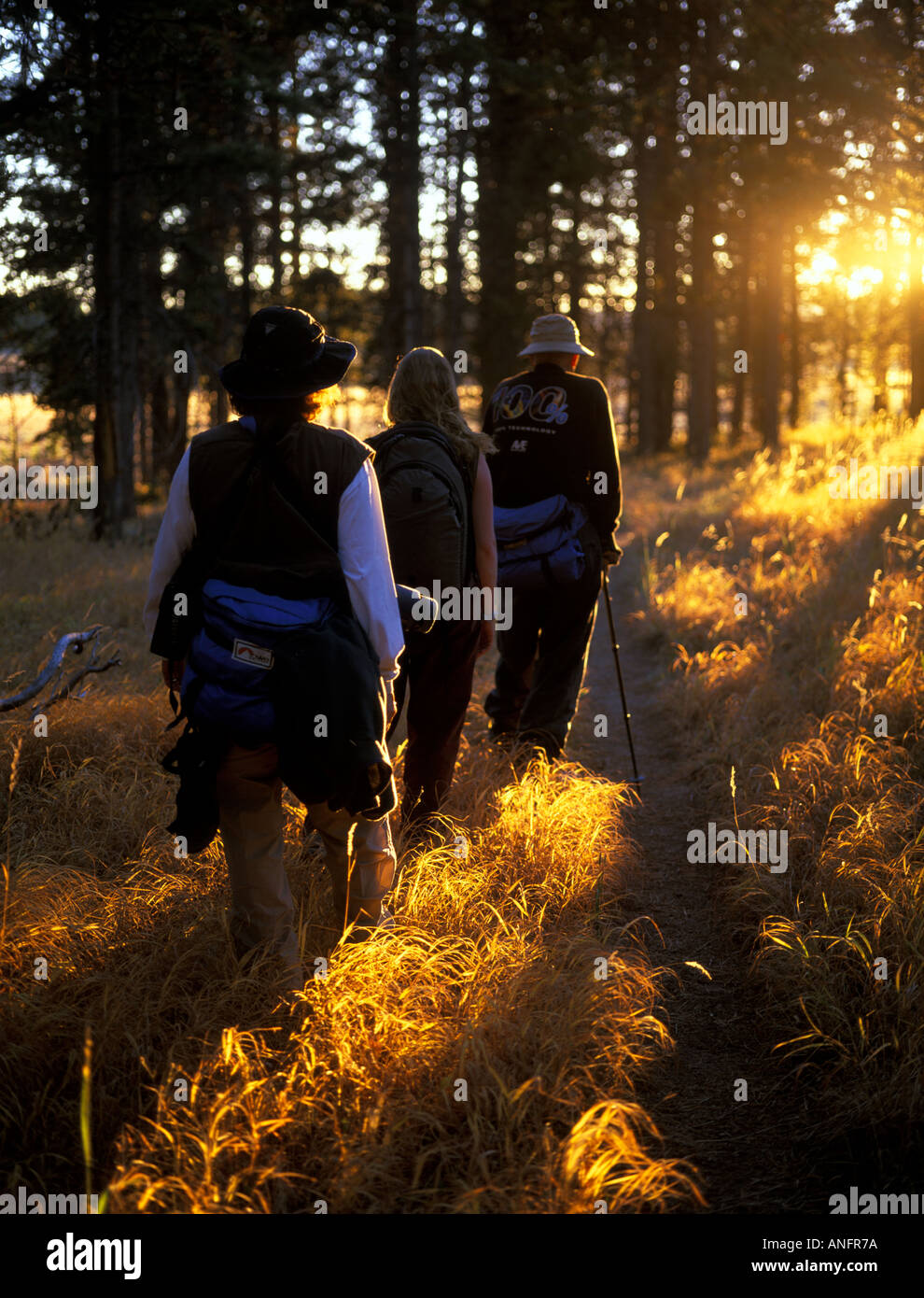 Gold country exploration hi-res stock photography and images - Alamy