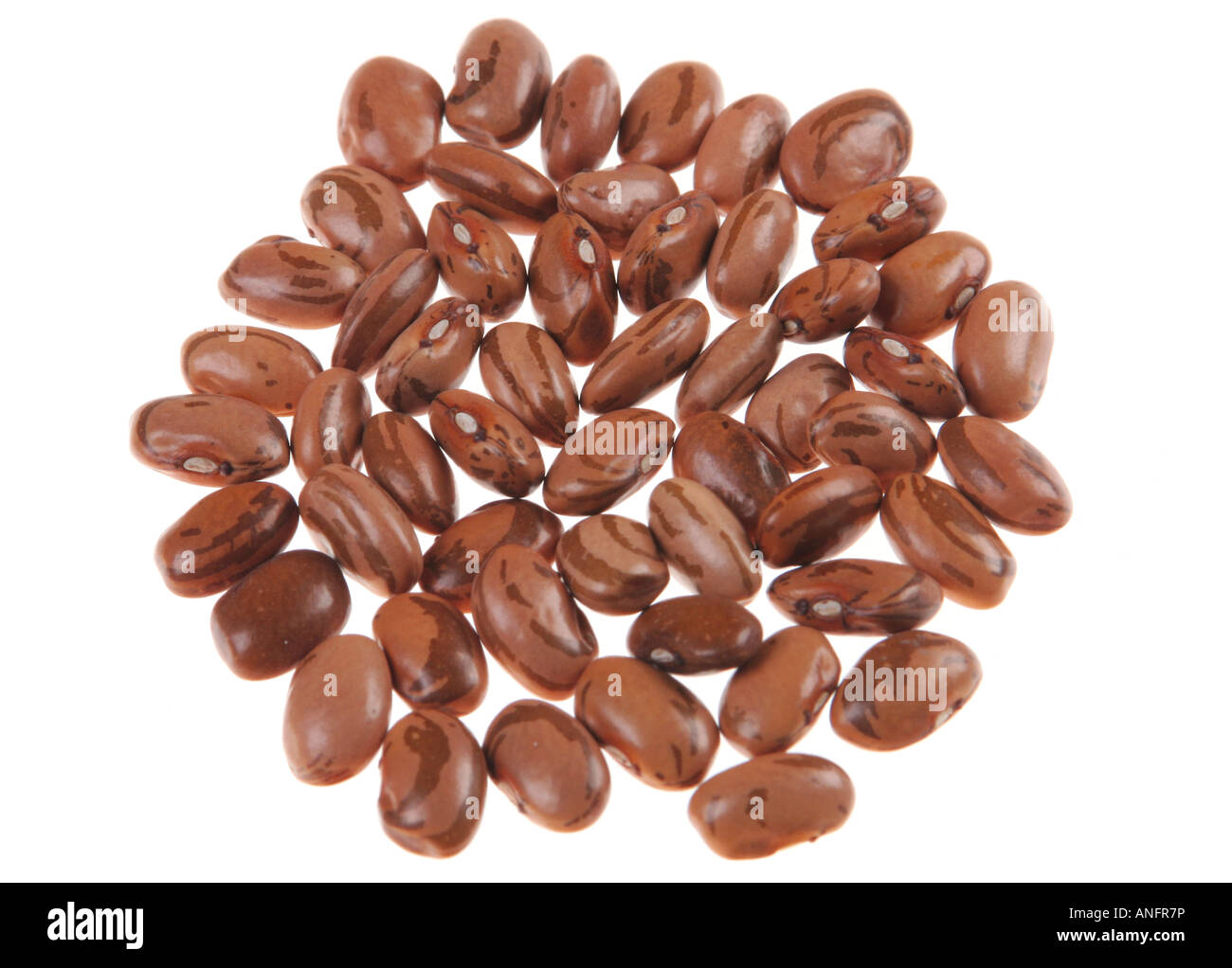 Brown kidney bean isolated on white background Stock Photo - Alamy