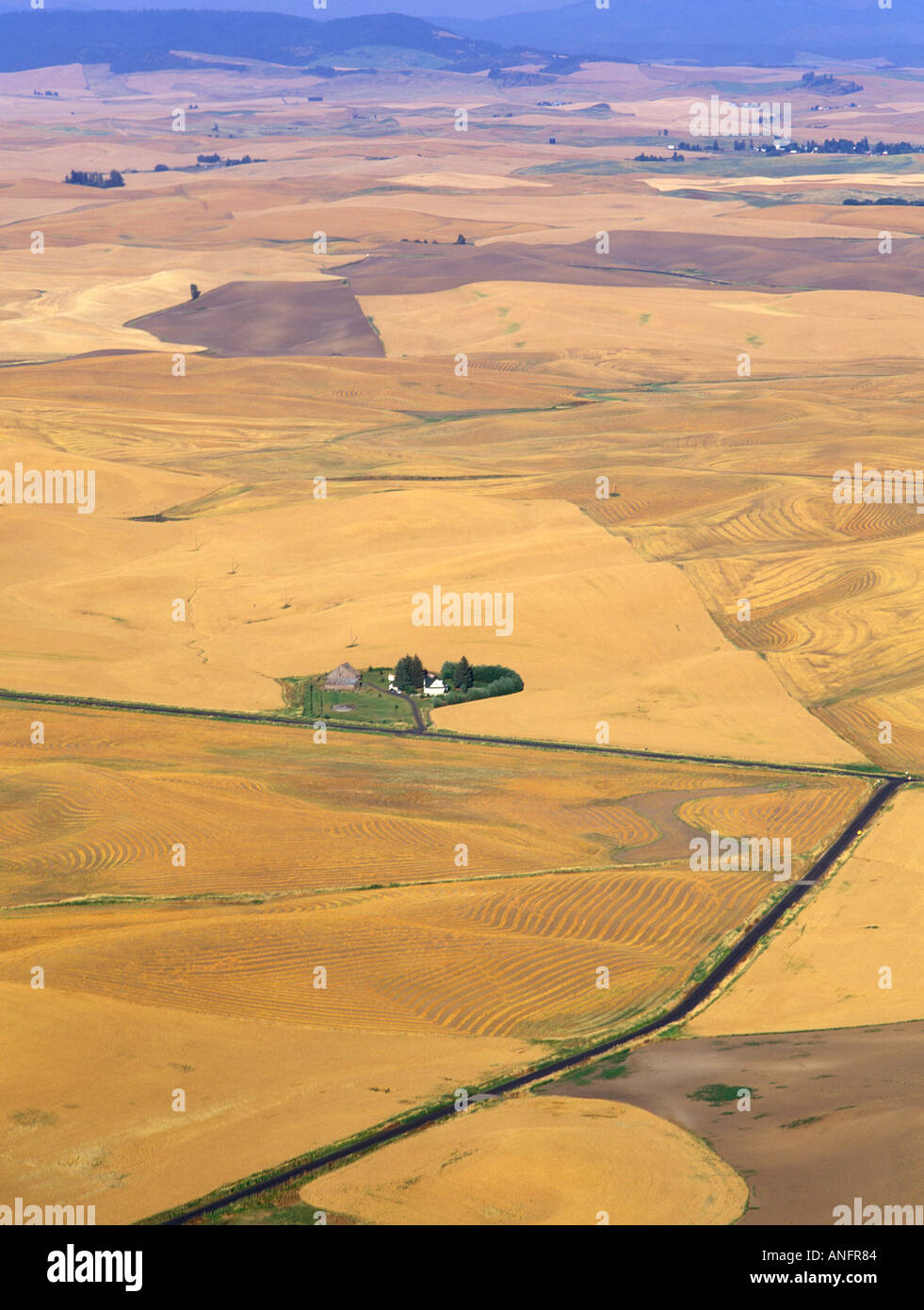 Palouse prairie steptoe butte hi-res stock photography and images - Alamy