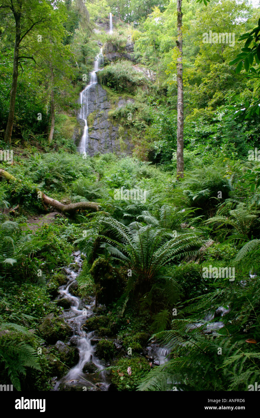 Canonteign Waterfalls, Devon, England Stock Photo - Alamy