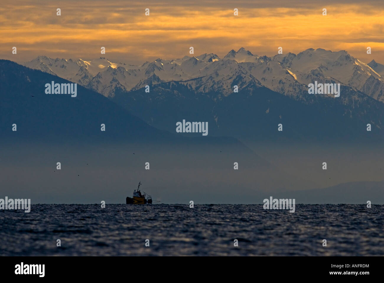 Olympic Mountains at sunset, Victoria, British Columbia, Canada Stock ...