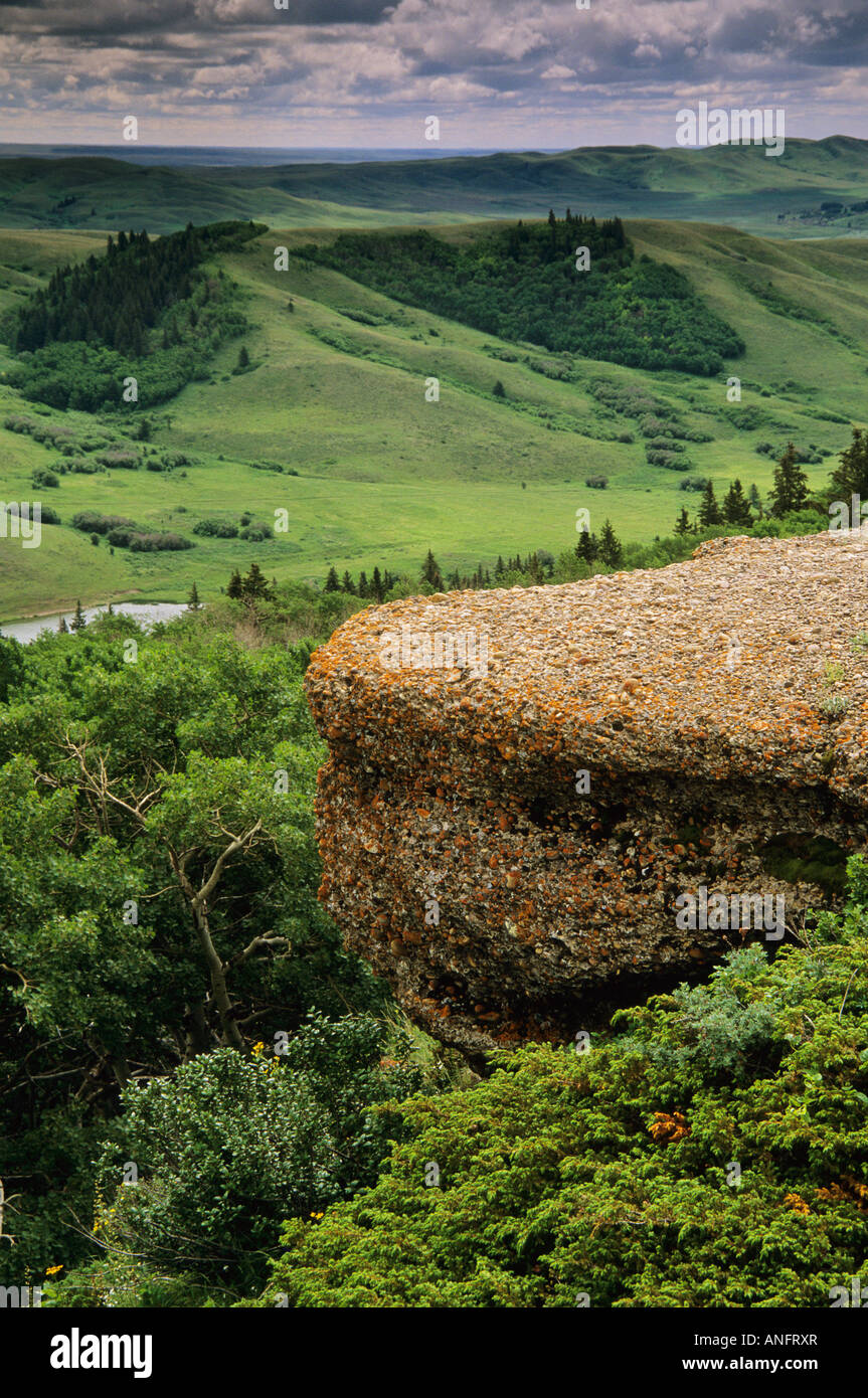 Conglomerate Cliffs lookout. Cypress Hills Interprovincial Park ...