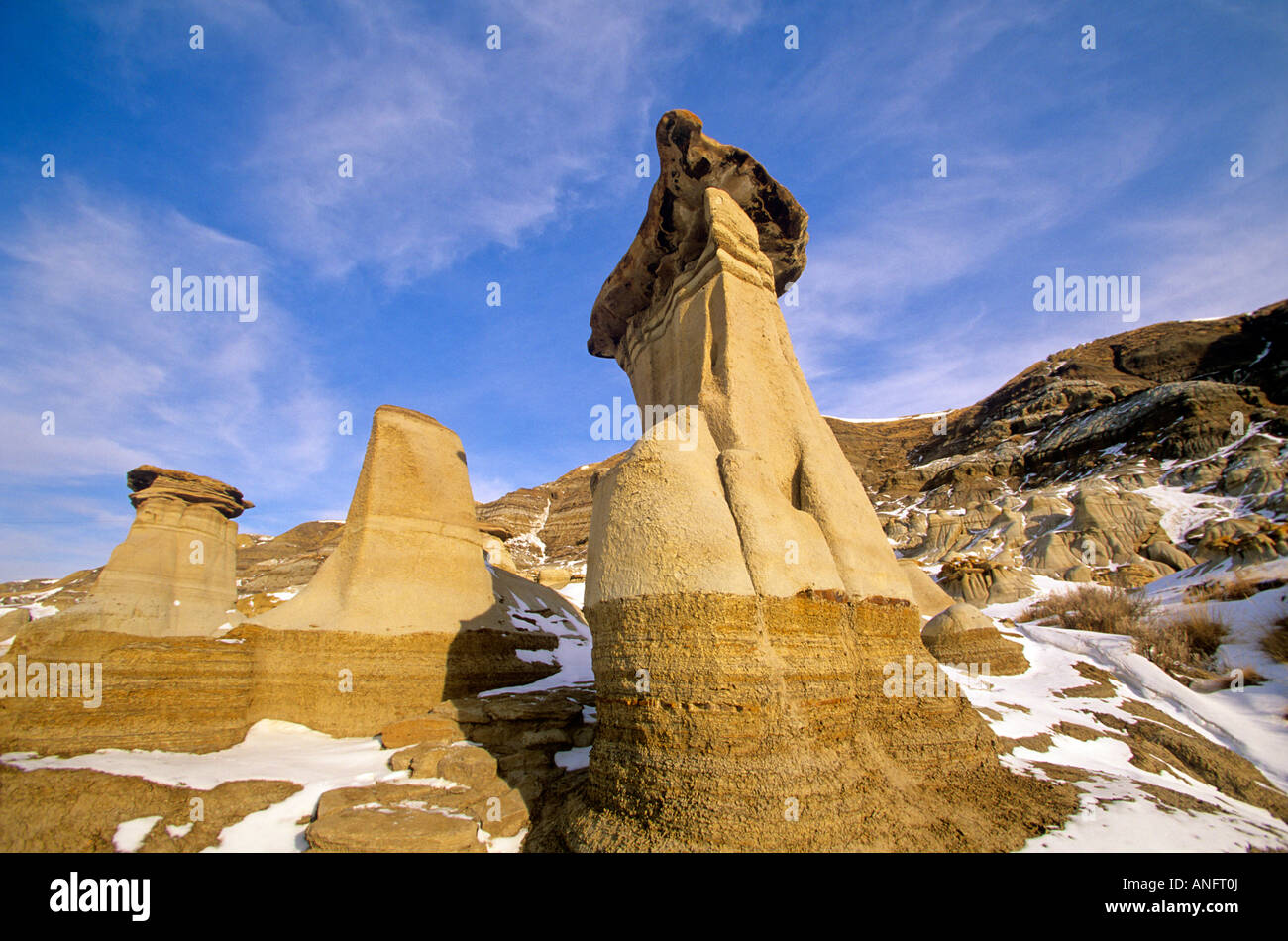 Hoodoos in Hoodoo Park located in Valley of the Dinosaurs, Drumheller ...