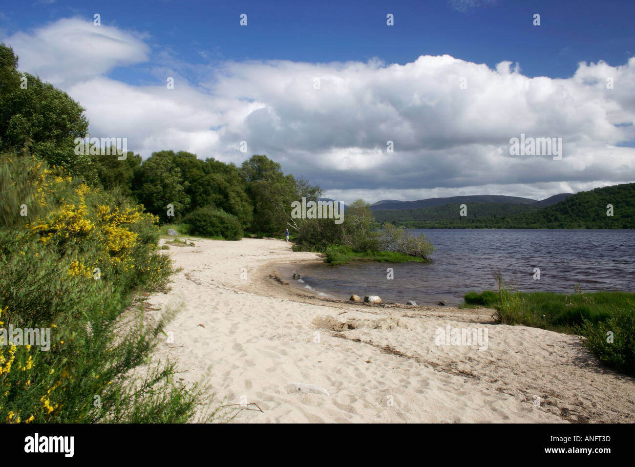 Loch rannoch beach hi-res stock photography and images - Alamy