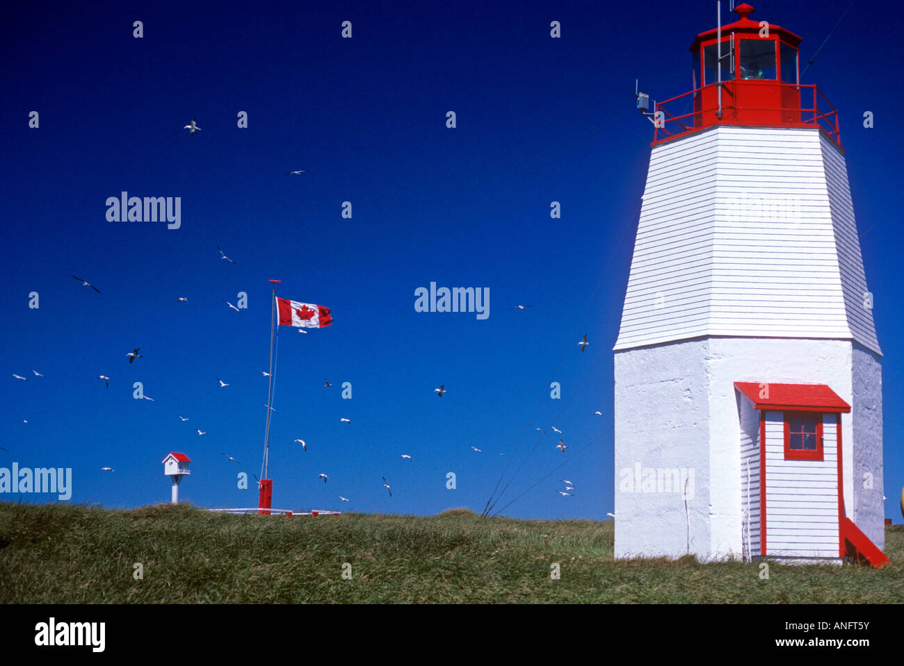 Bird Rock Island Lighthouse, in the Magdalen Islands, Quebec, Canada ...
