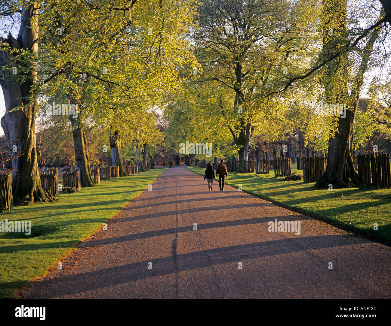 Beech road park manchester hi-res stock photography and images - Alamy