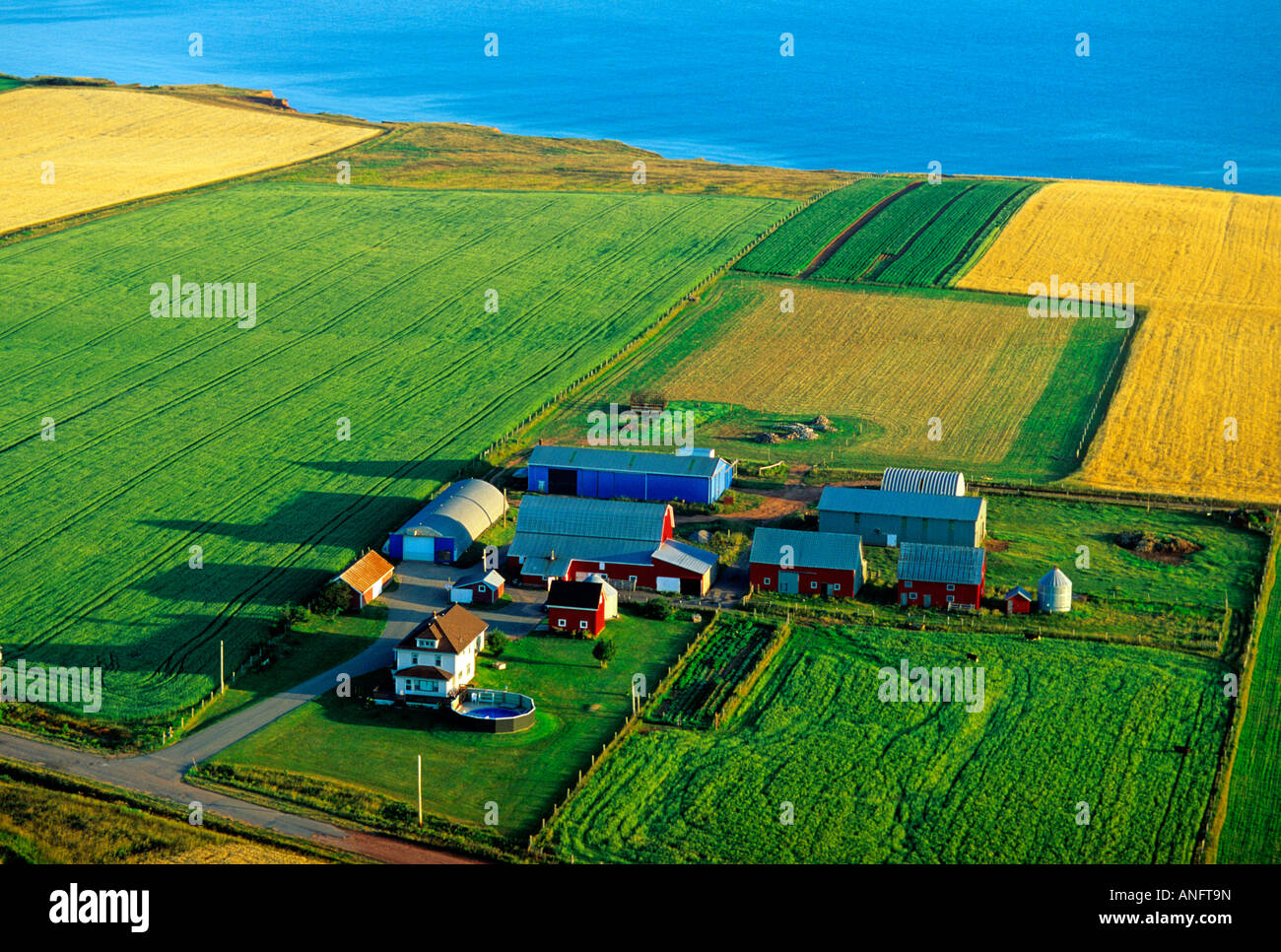 Aerial view of farm at Park Corner, Prince Edward Island, Canada Stock ...