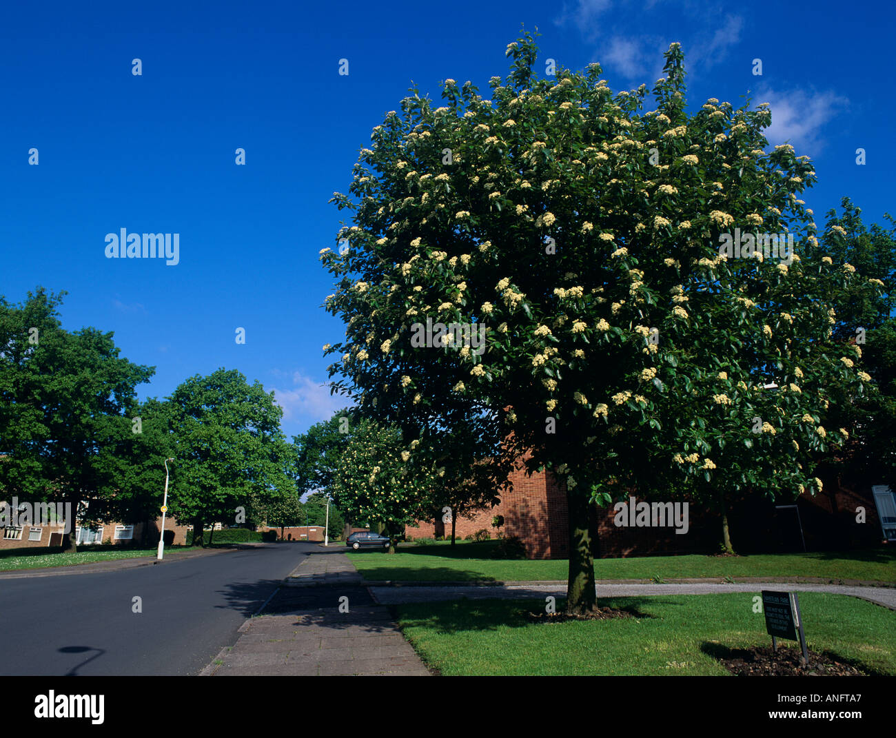 Harborne hi-res stock photography and images - Alamy