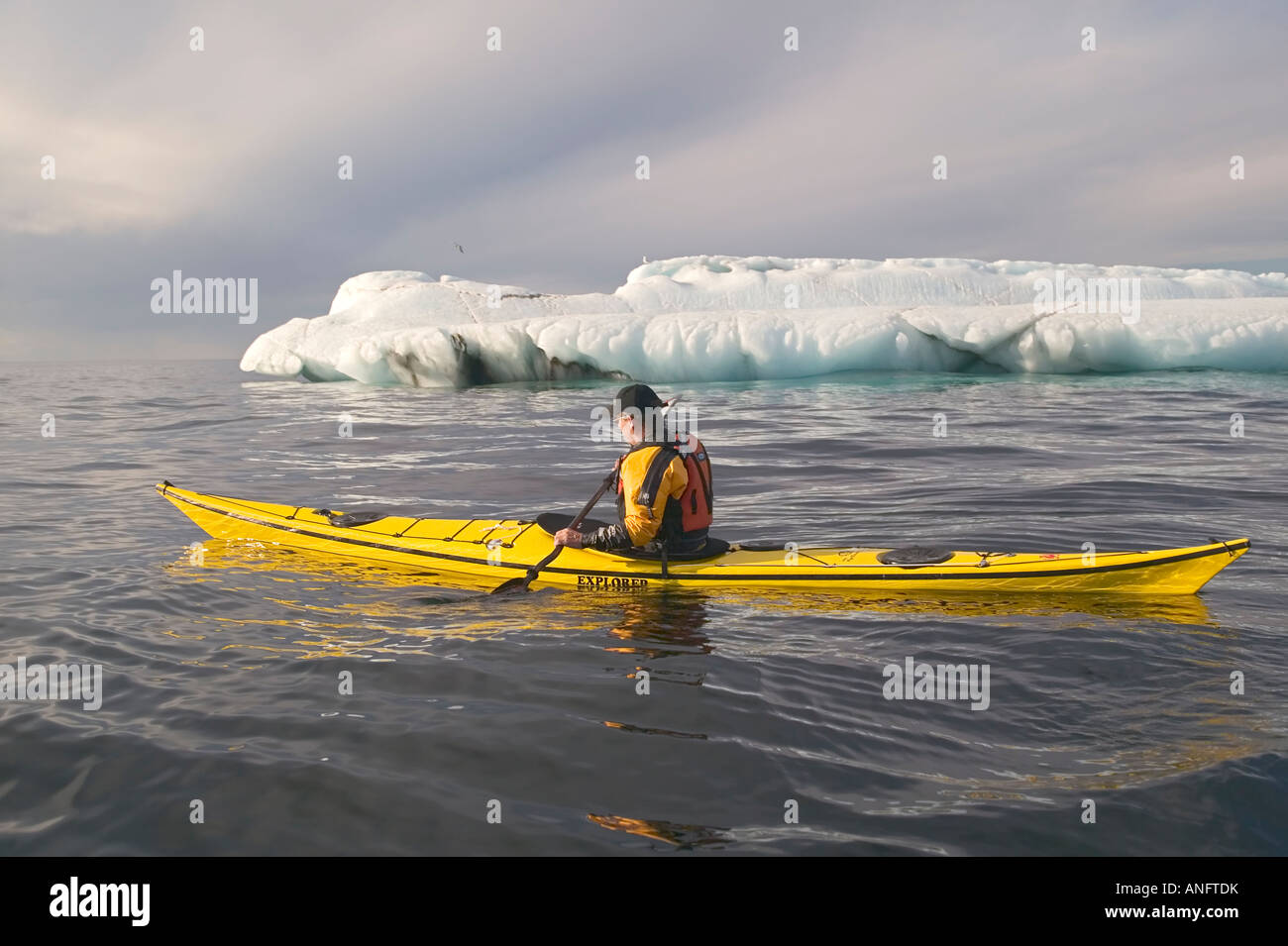 Newfoundland iceberg alley hi-res stock photography and images - Alamy