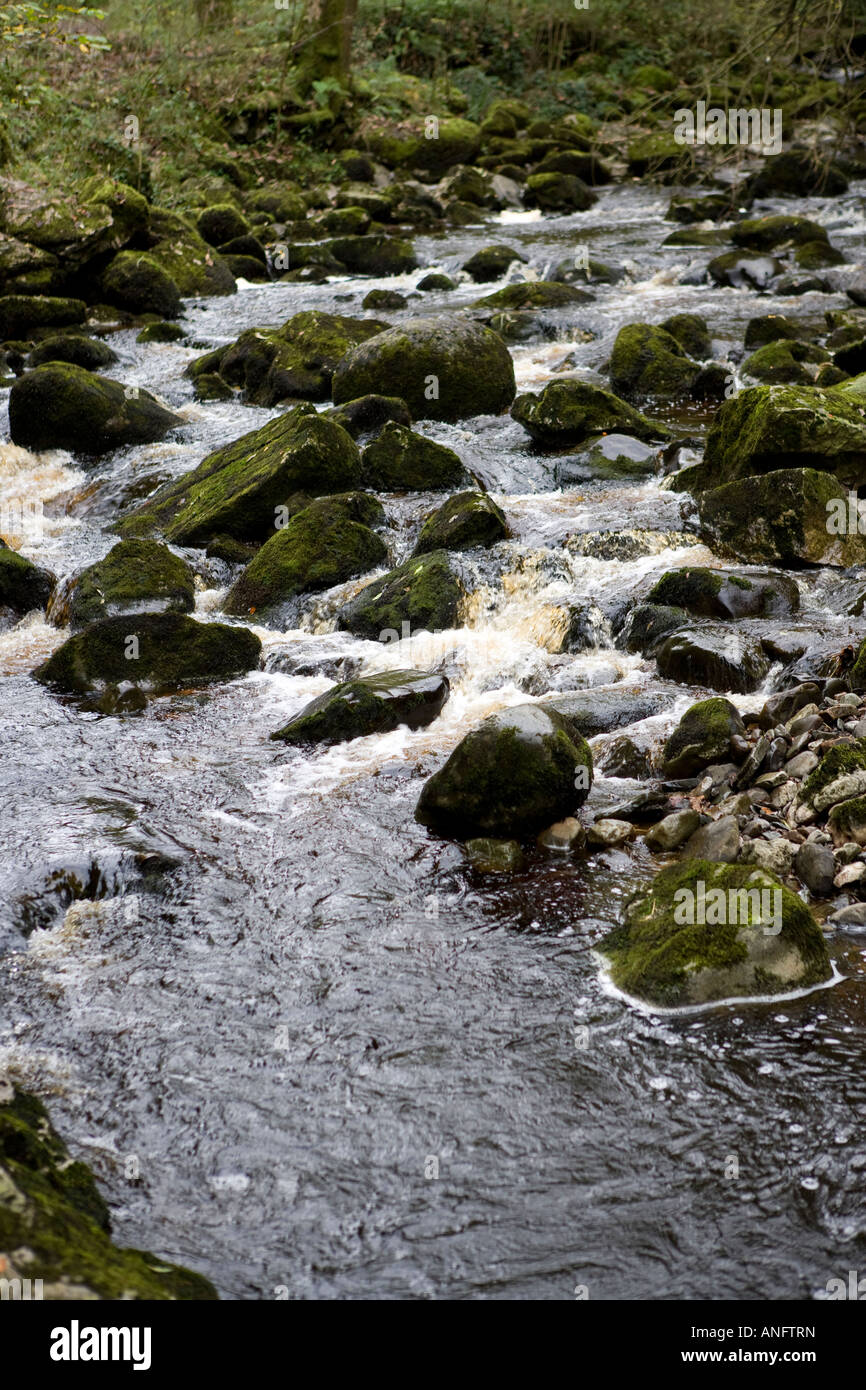 English Countryside stream Stock Photo - Alamy