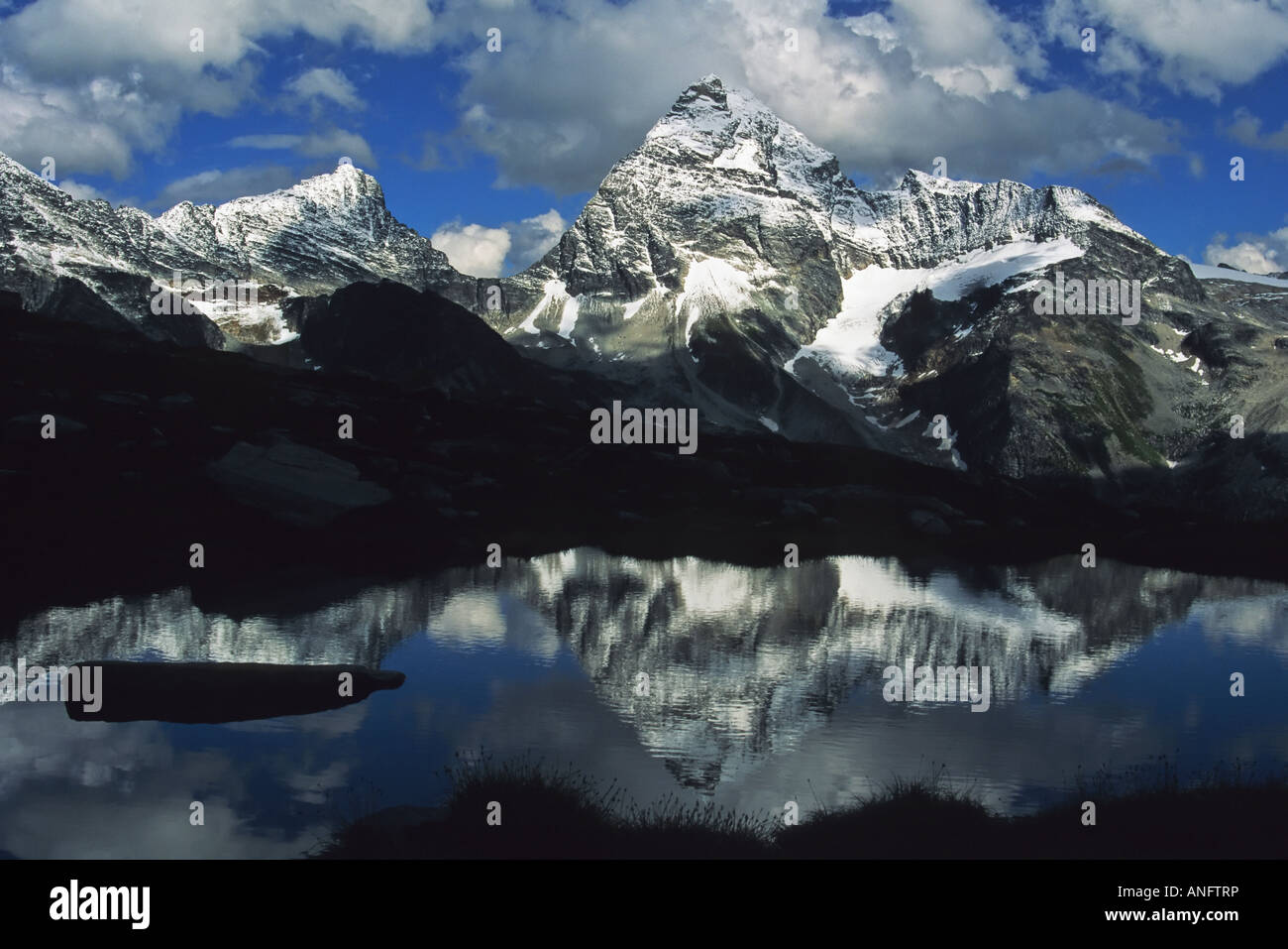 Mt Sir Donald reflecting in an alpine tarn at Abbott Ridge, Glacier ...