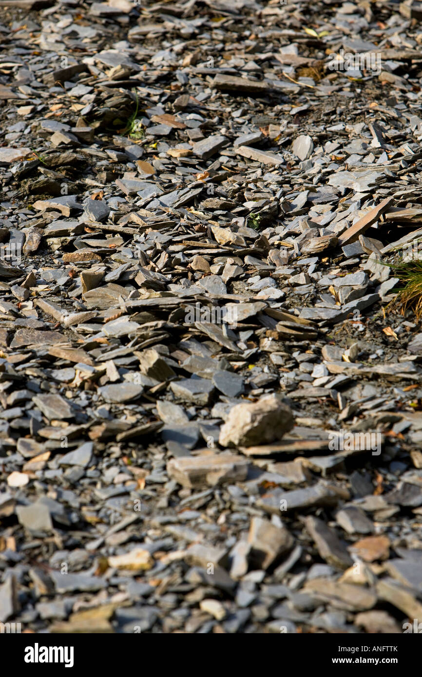 Slate stone path Stock Photo - Alamy