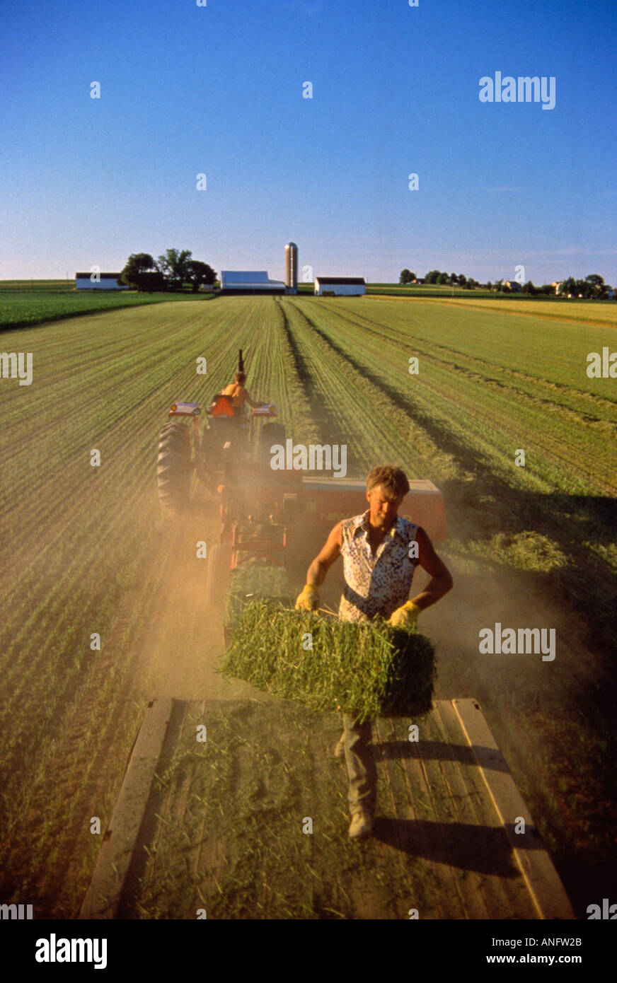 Hay column hi-res stock photography and images - Alamy
