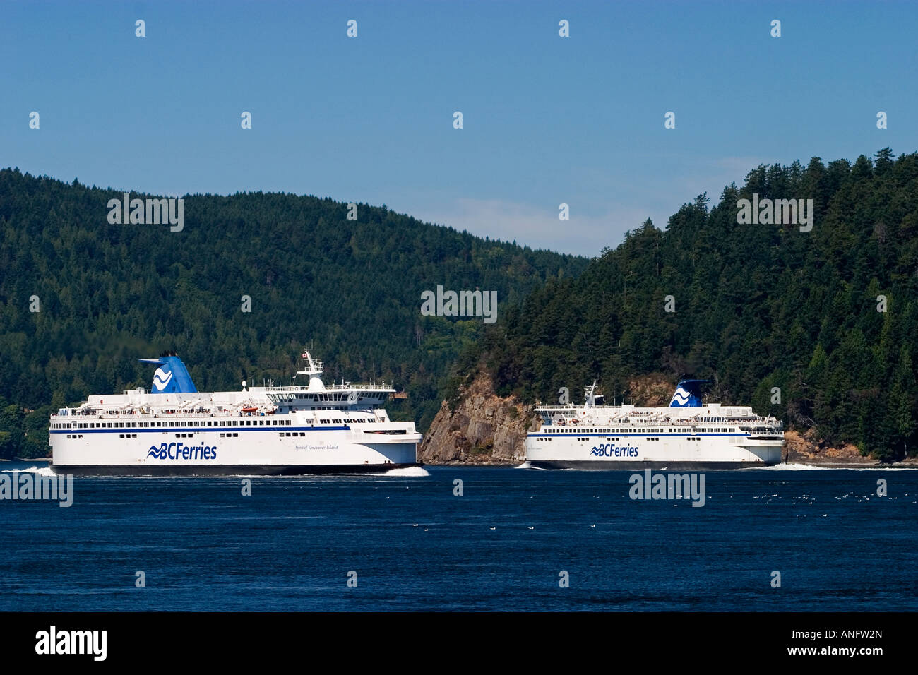 BC Ferries pass close by in Active Pass on a regular basis, onwards to ...