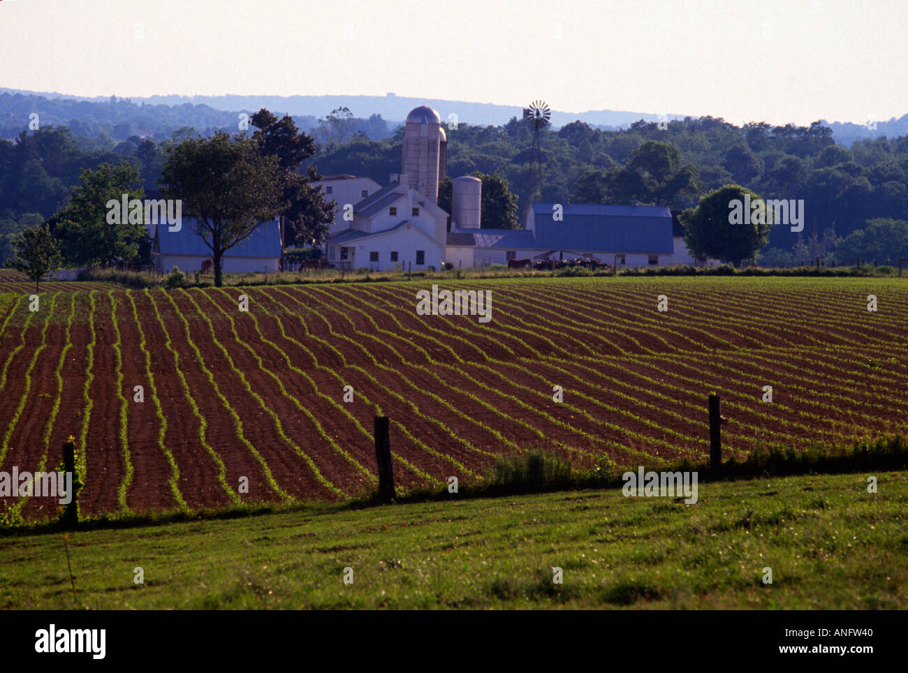 Early corn sprouting up on farm near Lancaster Pennsylvania USA Stock ...