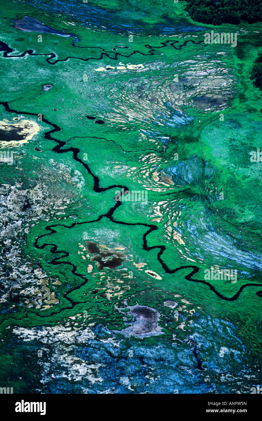 Muskeg hi-res stock photography and images - Alamy