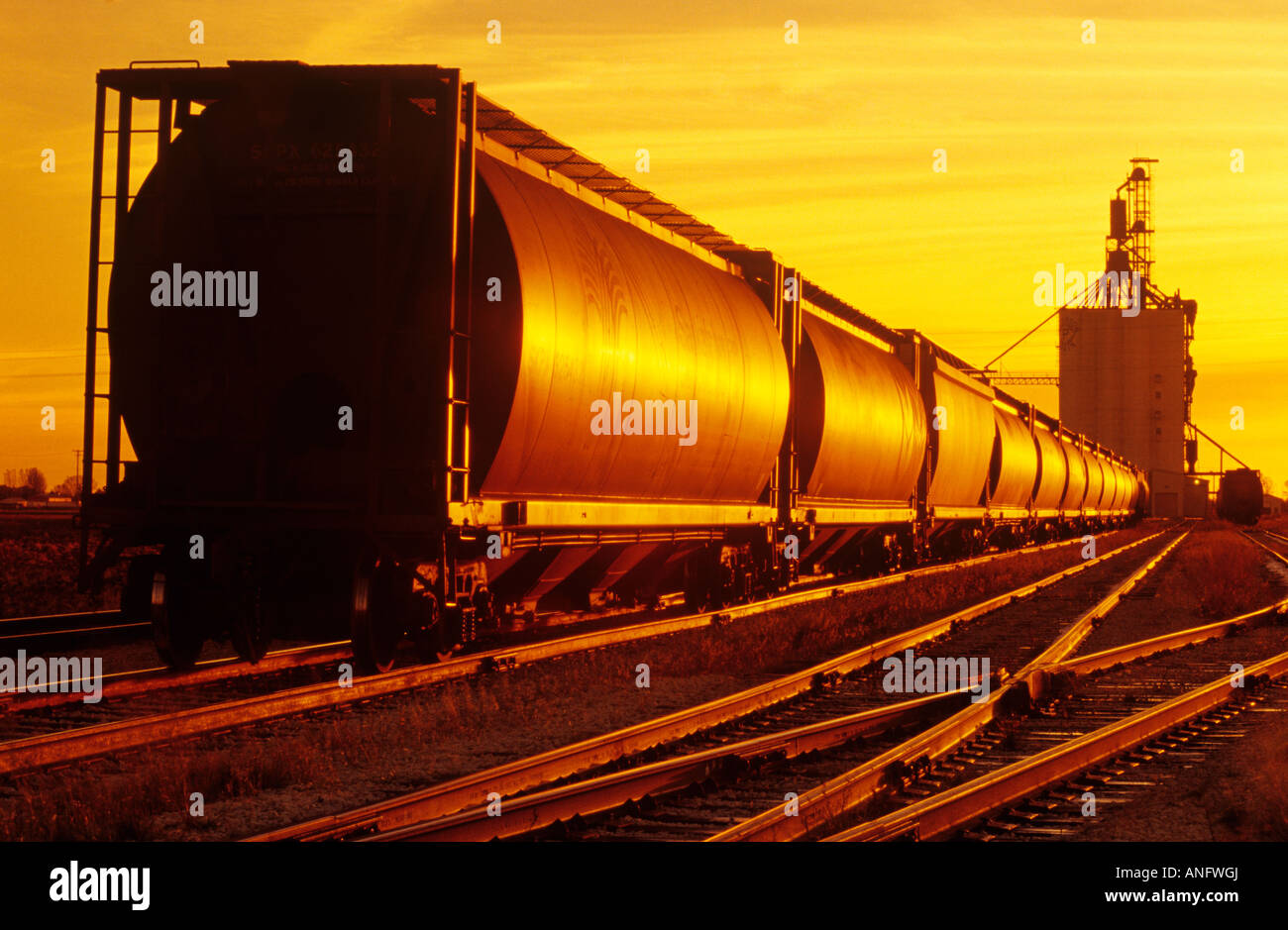 Sunrise, Inland grain terminal, Morris, Manitoba, Canada Stock Photo ...