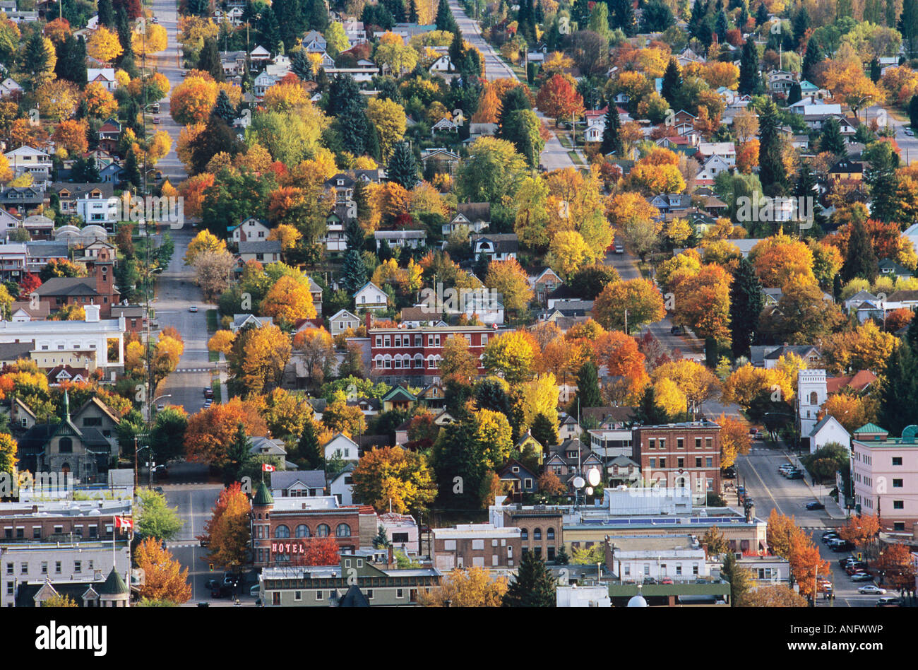 Nelson in fall colours hi-res stock photography and images - Alamy