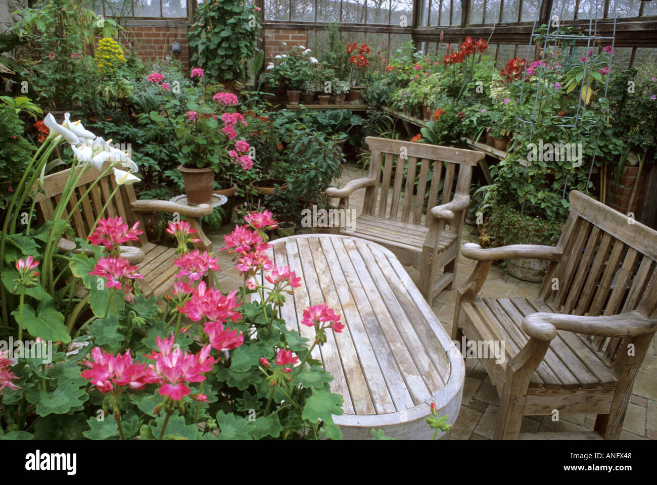 Conservatory and Furniture, East Ruston Stock Photo - Alamy