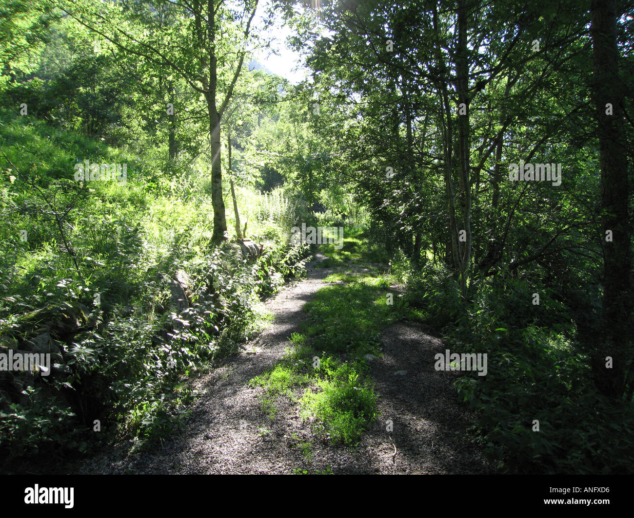 french pyrenees mountains Stock Photo - Alamy