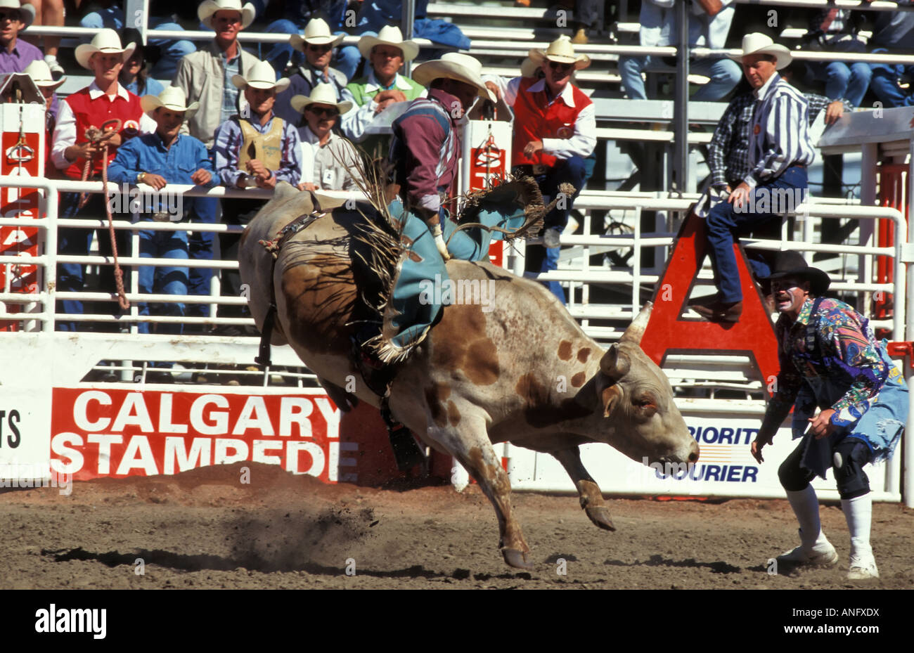 Calgary stampede stadium hi-res stock photography and images - Alamy