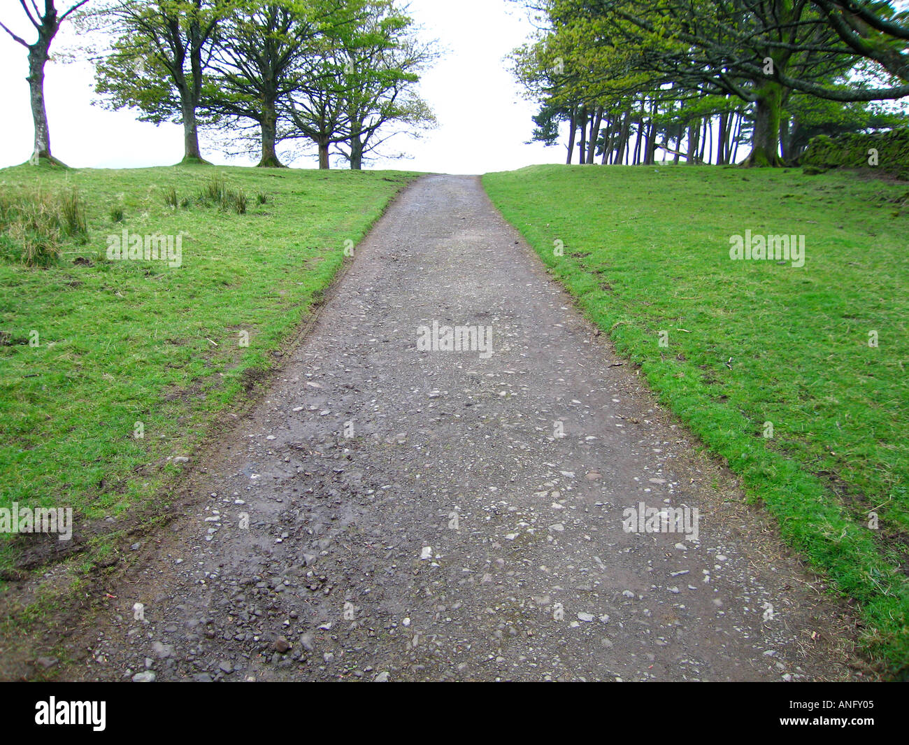 Narrow gravel path hi-res stock photography and images - Alamy