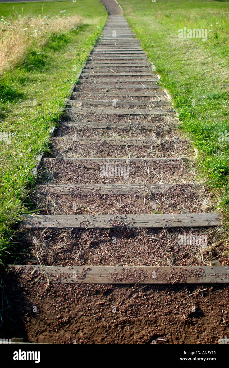 Wooden steps on park path Stock Photo - Alamy