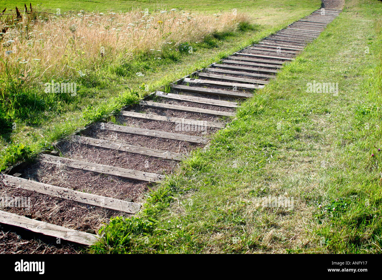 Wooden steps on park path Stock Photo - Alamy