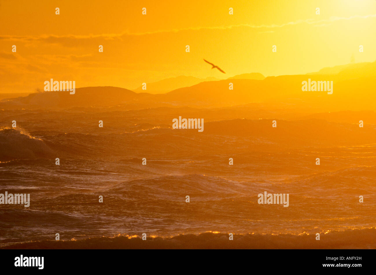 St lawre hi-res stock photography and images - Alamy