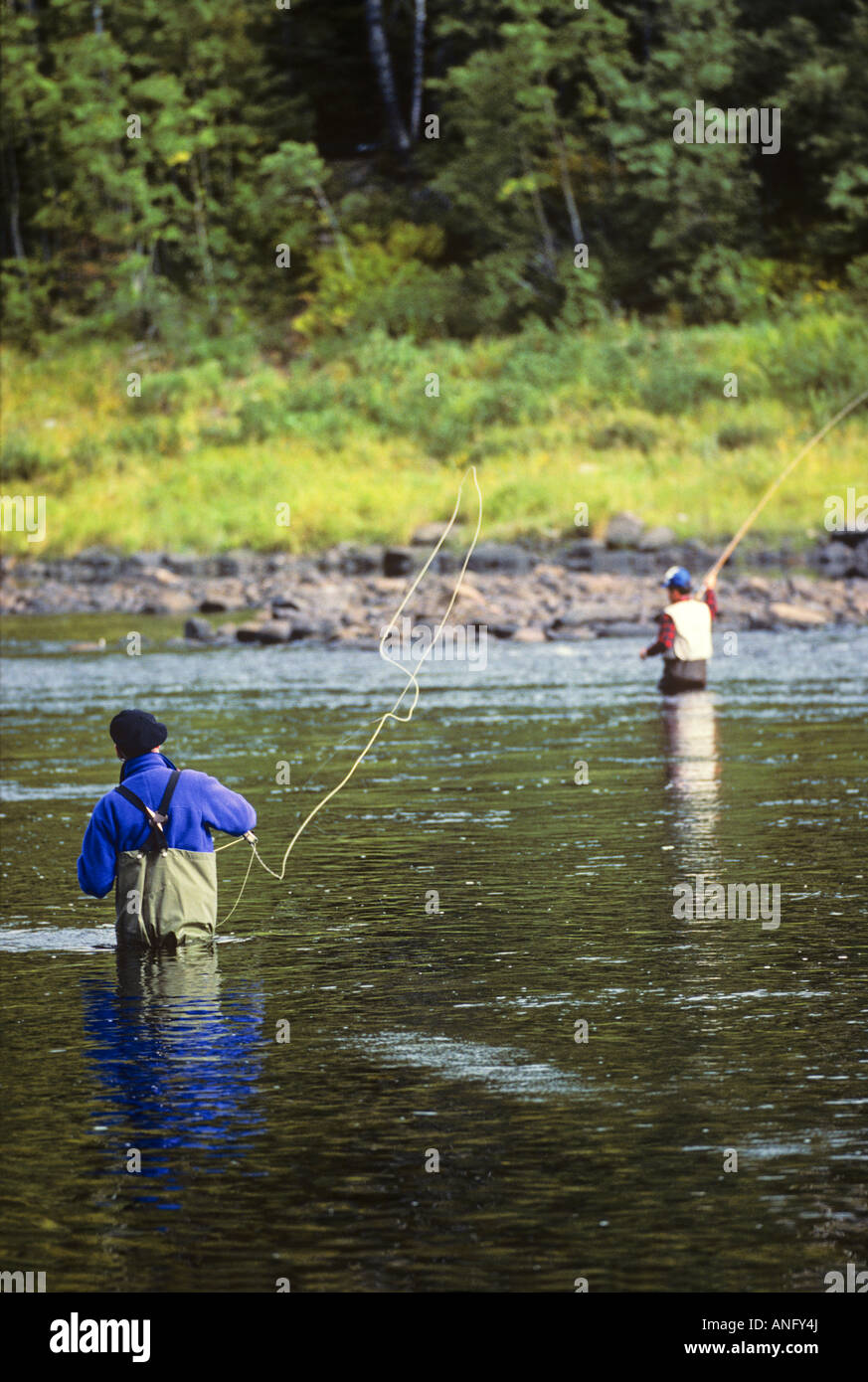 Miramichi river salmon hi-res stock photography and images - Alamy