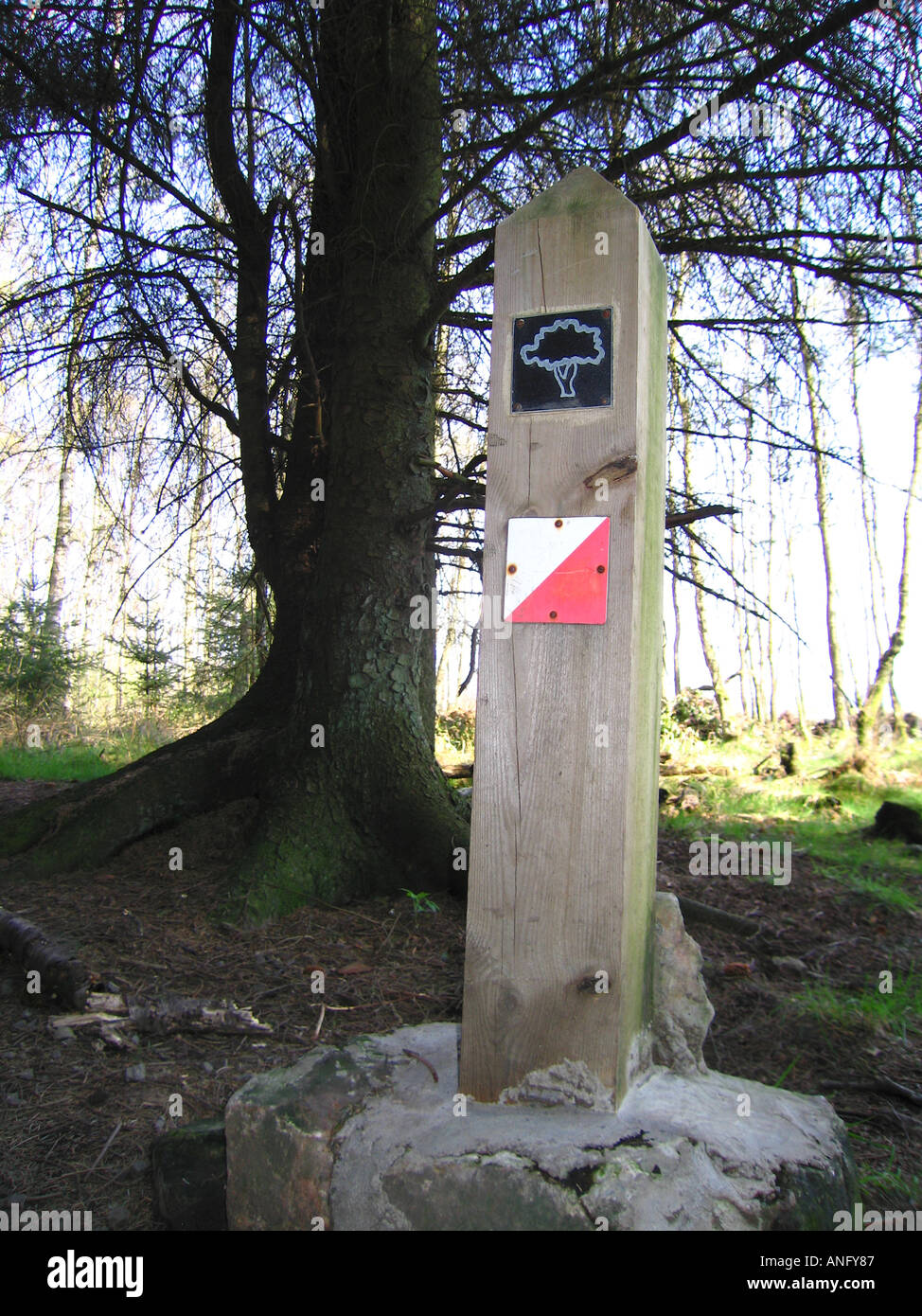 Orienteering marker point Stock Photo - Alamy