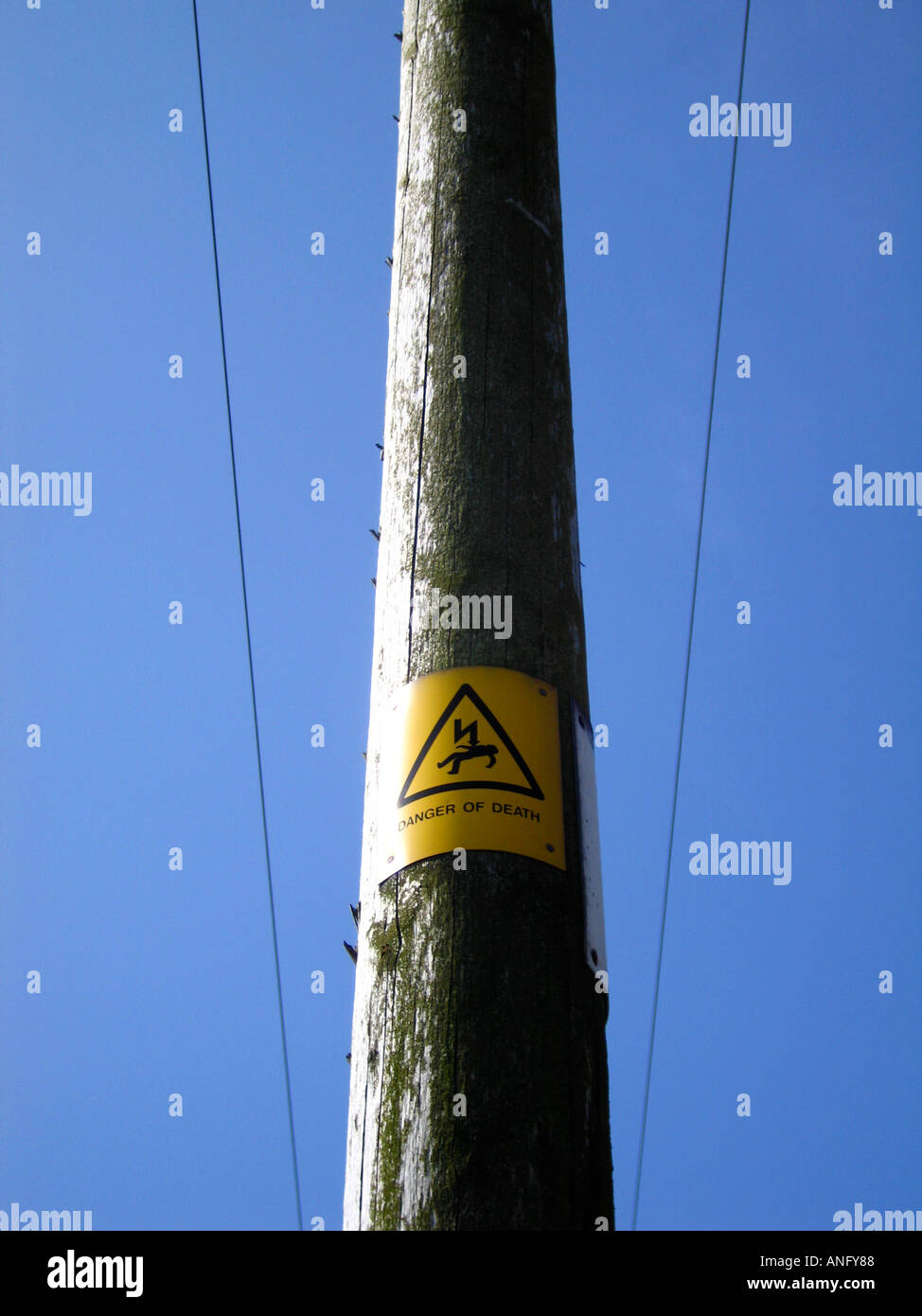 Electricity supply cable pole with danger warning sign against blue sky ...