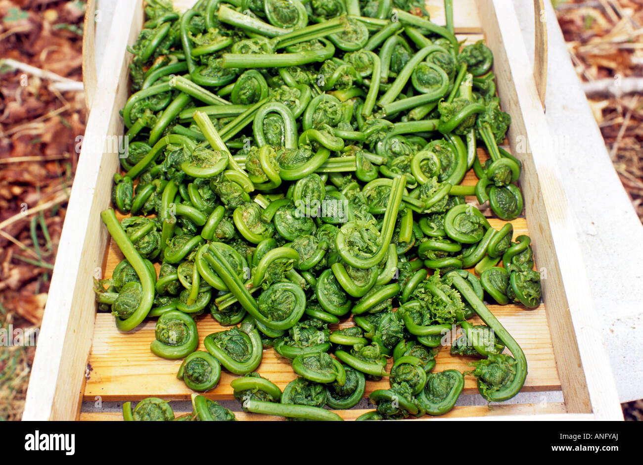 Hampton New Brunswick High Resolution Stock Photography and Images - Alamy