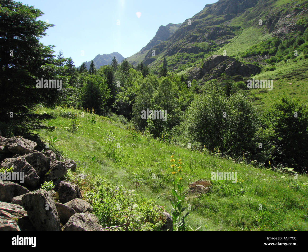 French pyrenees mountains hi-res stock photography and images - Alamy